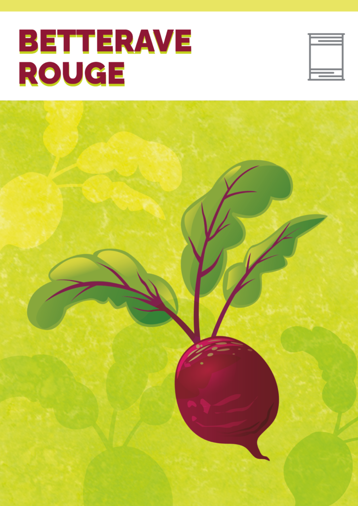 Betterave rouge - UNILET