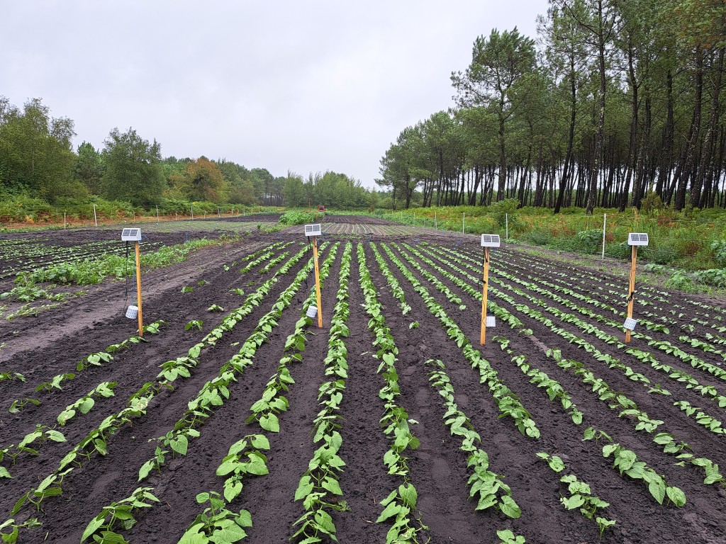 Les projets de recherche - UNILET